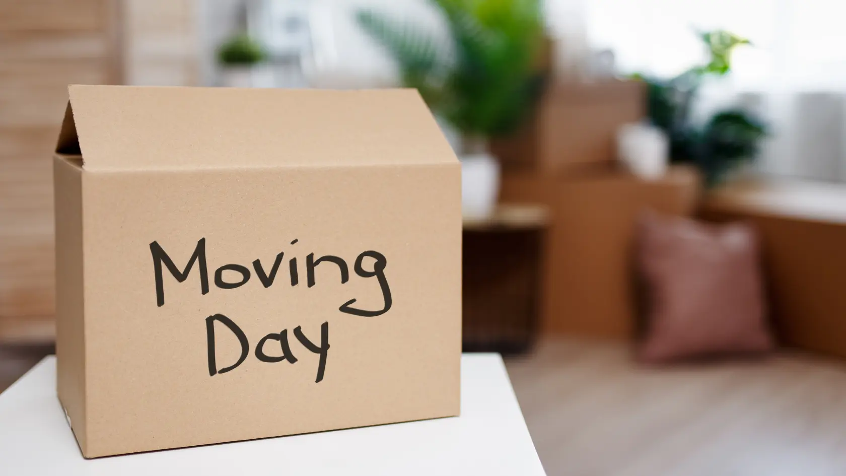 Moving House in 2025: Your Complete Guide to a Smooth Transition | Space Centre Self Storage